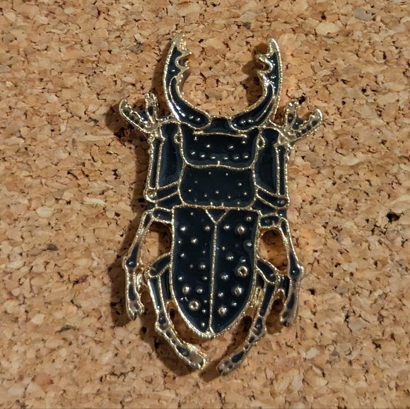 Jewelry | Starry Beetle Enamel Pin | Poshmark